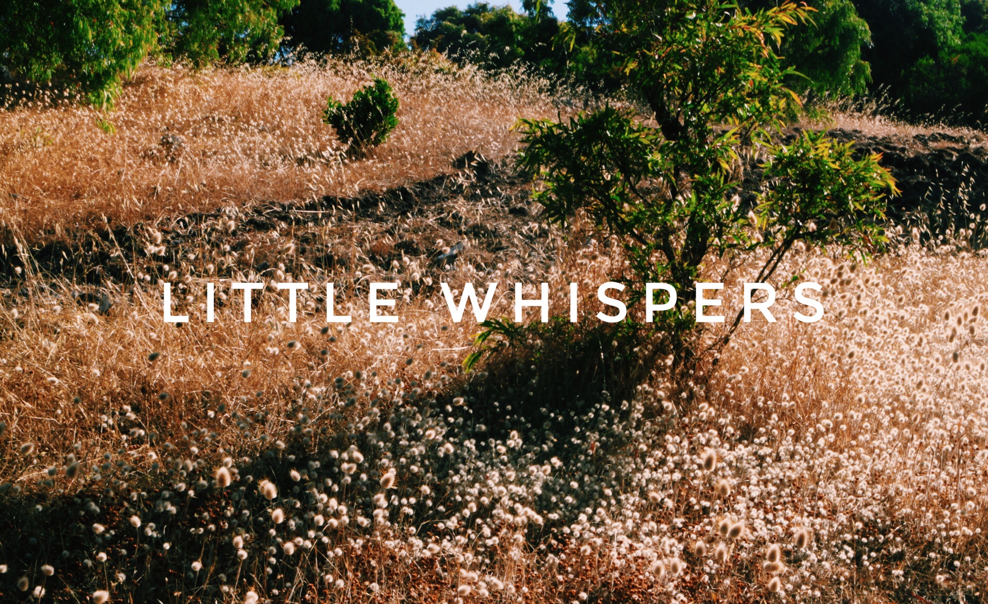 Little Whispers